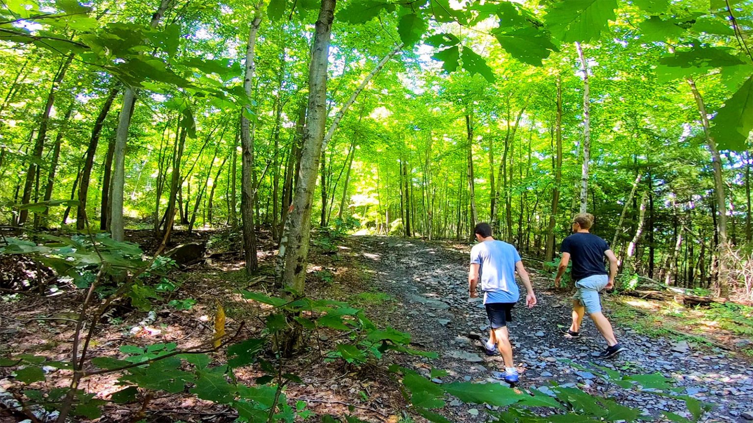 DiscoverNEPA | Things to Do, Events, Region | Northeastern Pennsylvania