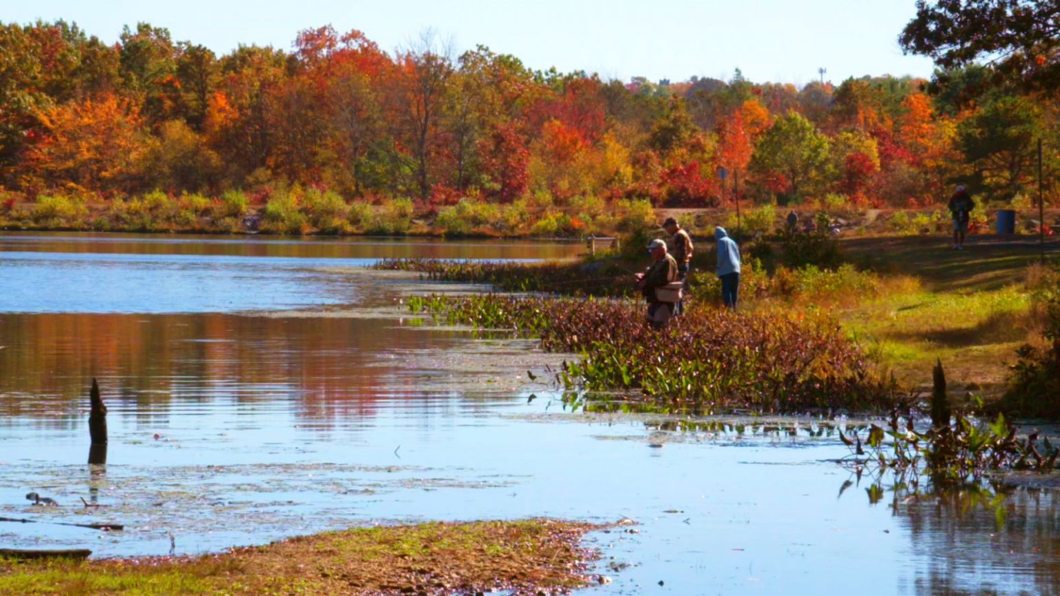 Things to Do in NEPA | Northeastern PA | DiscoverNEPA