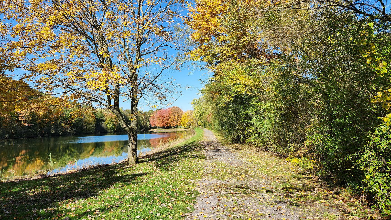 Susquehanna Warrior Trail - GYTOT Trail of the Month | NEPA Trails