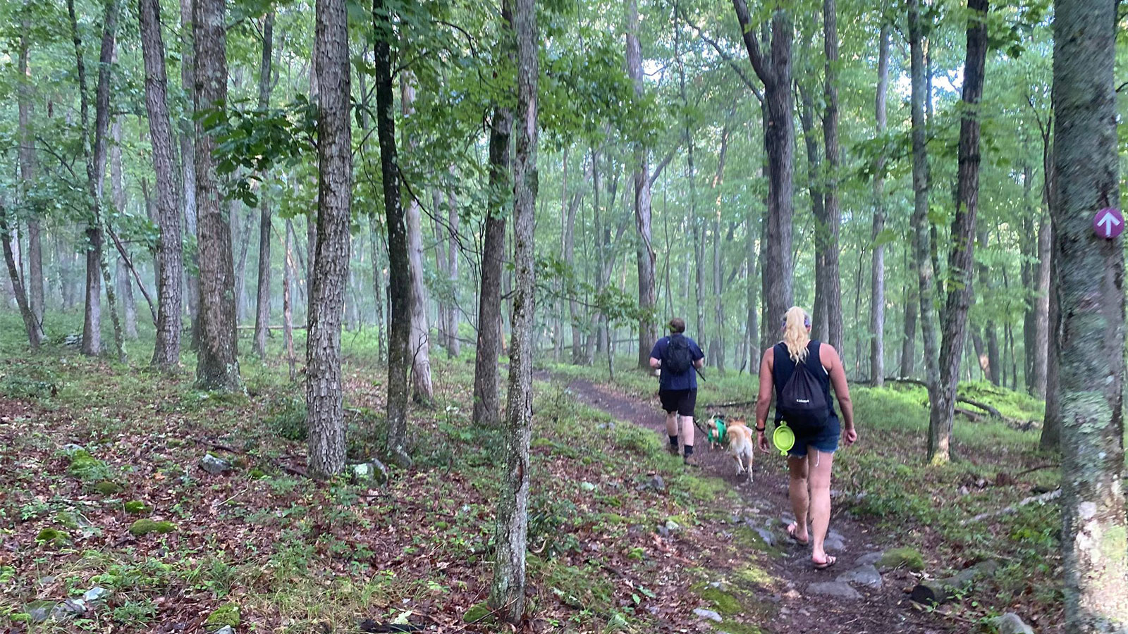 Yellow / Green Loops at Bear Creek Preserve - GYTOT Trail of the Month ...
