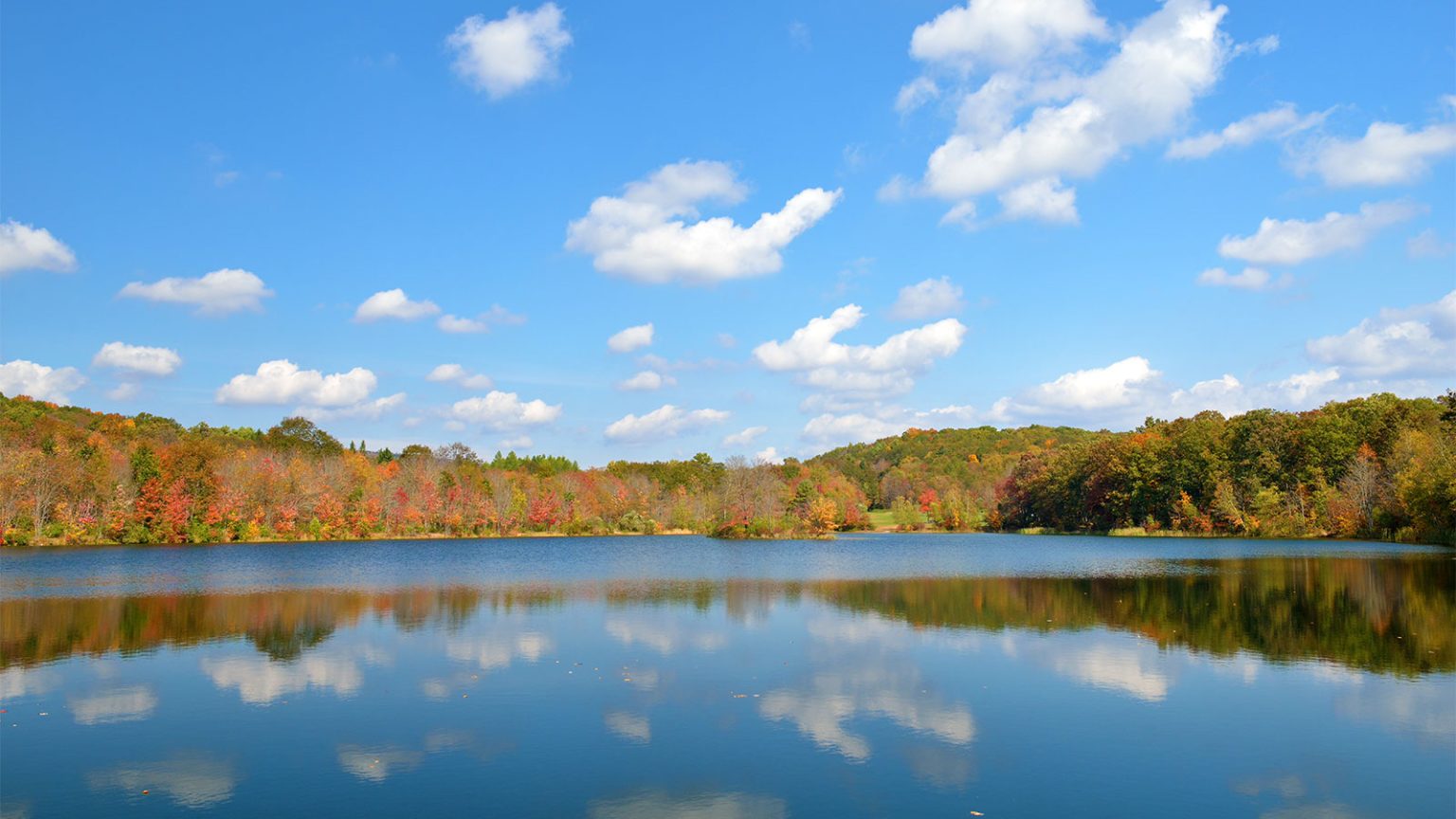 DiscoverNEPA | Things to Do, Events, Region | Northeastern Pennsylvania